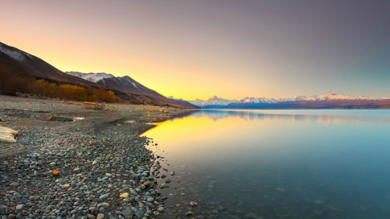 Home - Advantage South