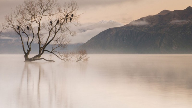 Home - Advantage South