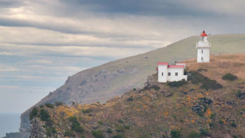 Home - Advantage South